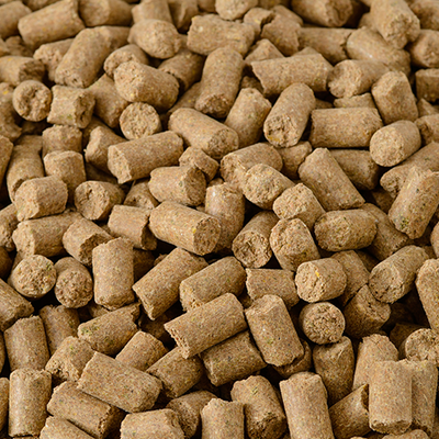 Foundation Cube – The Formula for Success