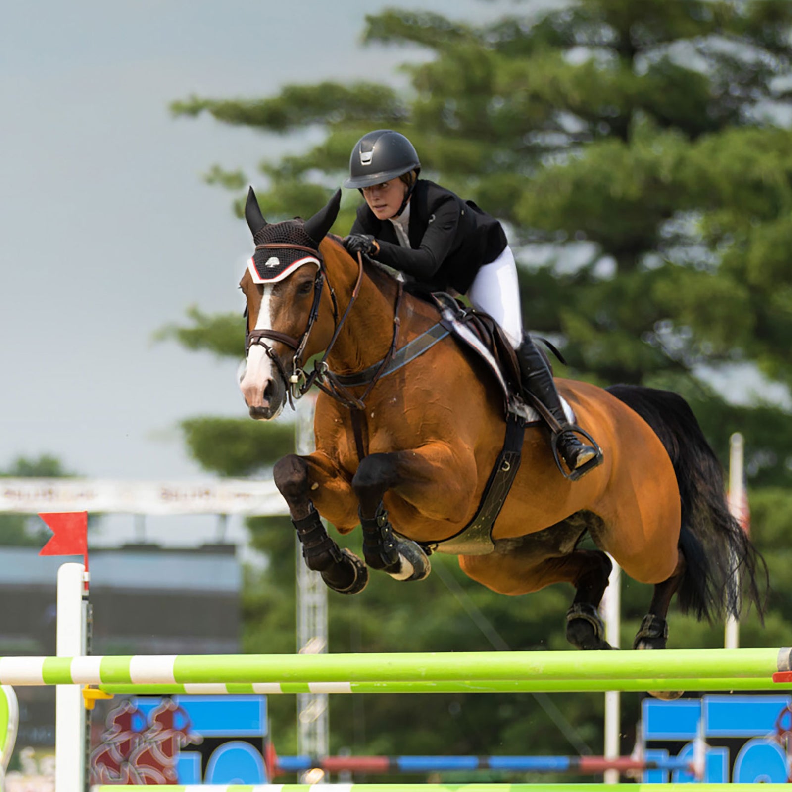 Equibility® – Formulated for the Maintenance of the Active Mature Equine